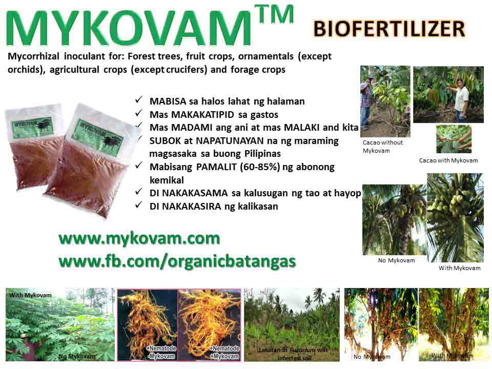 Mykovam is a soil-based bio fert
